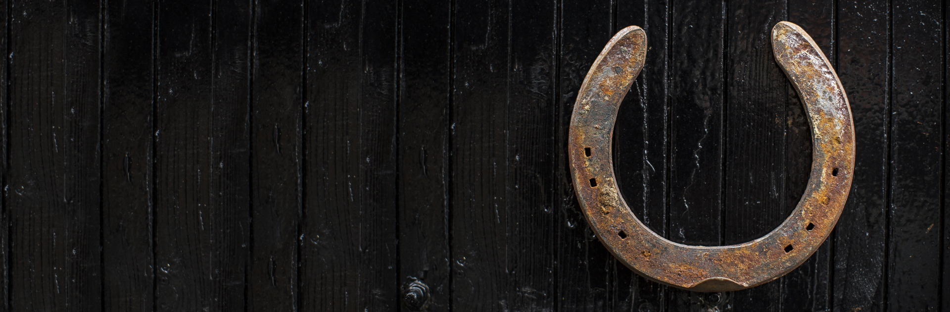 2025 foal passport figures for Horse Source applications – 27th June ...
