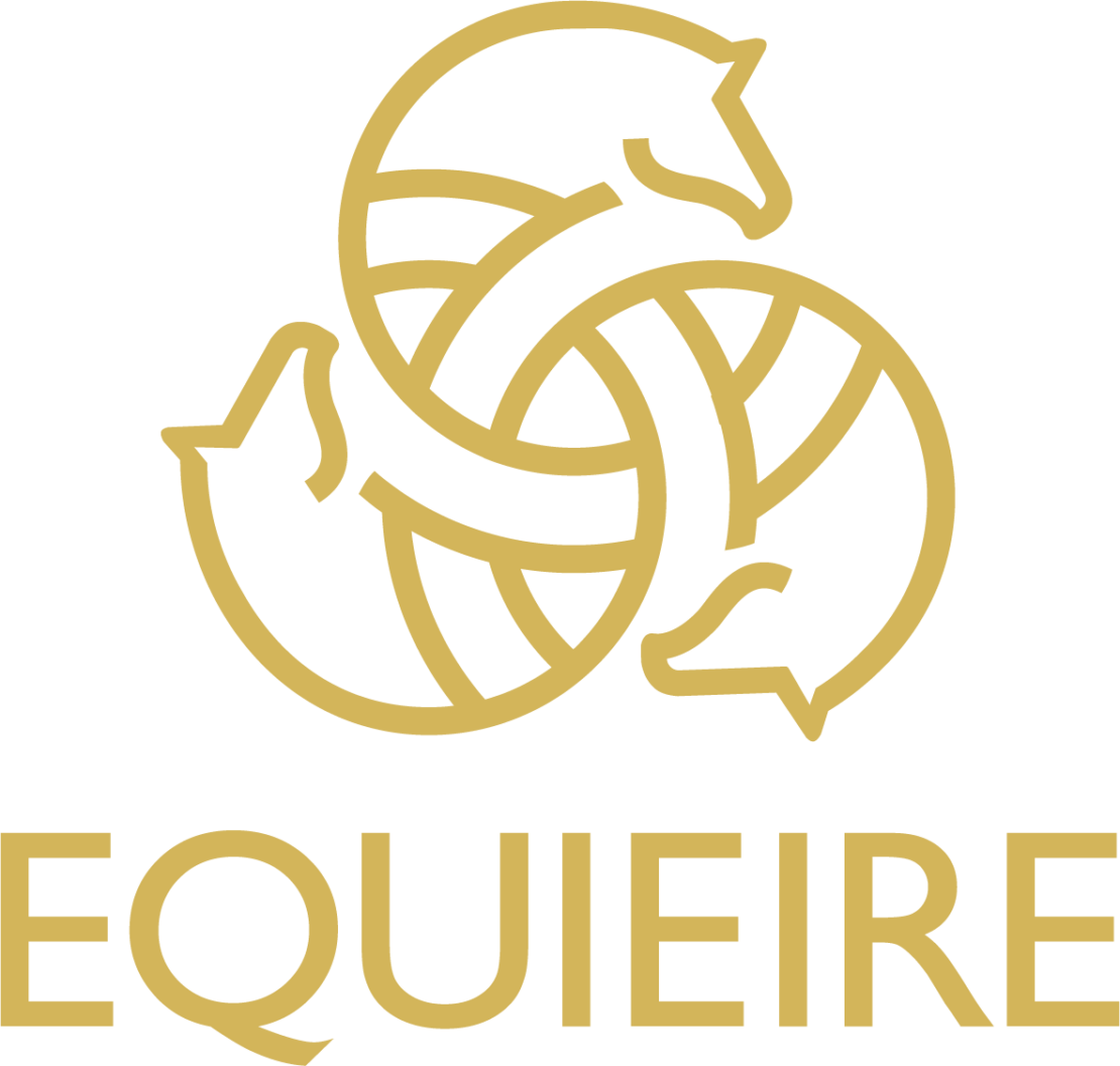 Irish Pony Jumping squad selected for European Championship