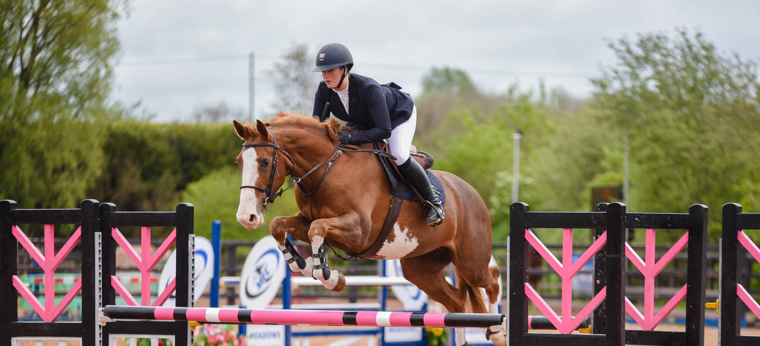 DAFM Studbook Series Leg 3 – The Meadows Equestrian Centre