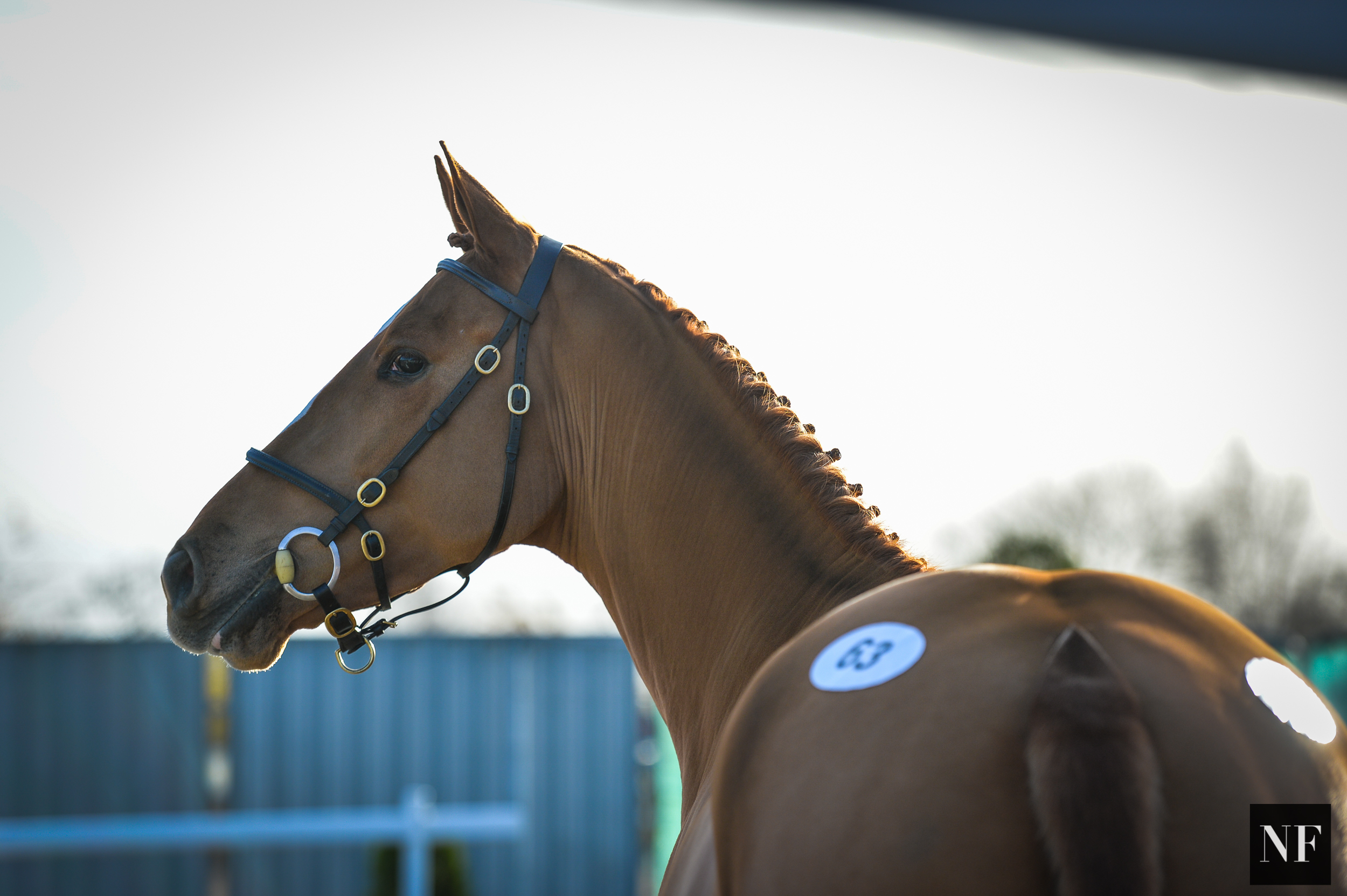 NBS Supported/funded by DAFM