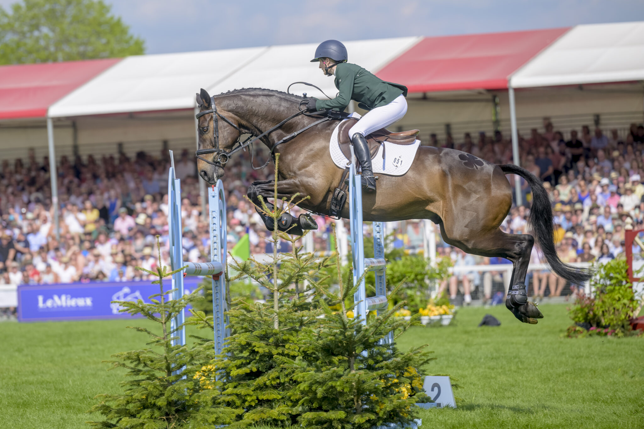 Policies & Documents