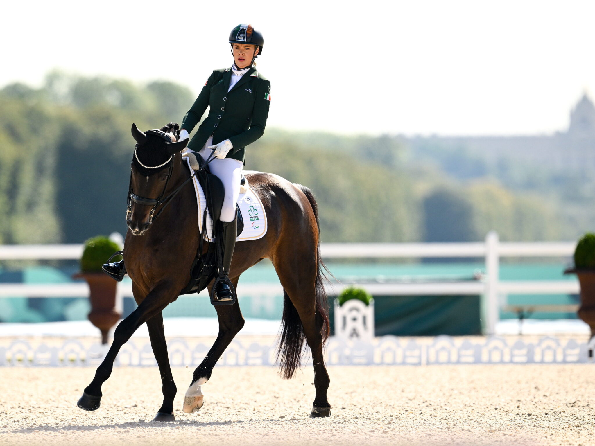 FEI Passports/Registrations