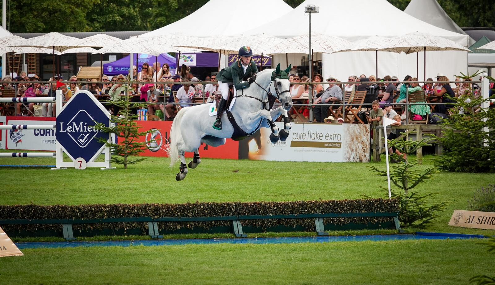 Irish Sport Horse Studbook
