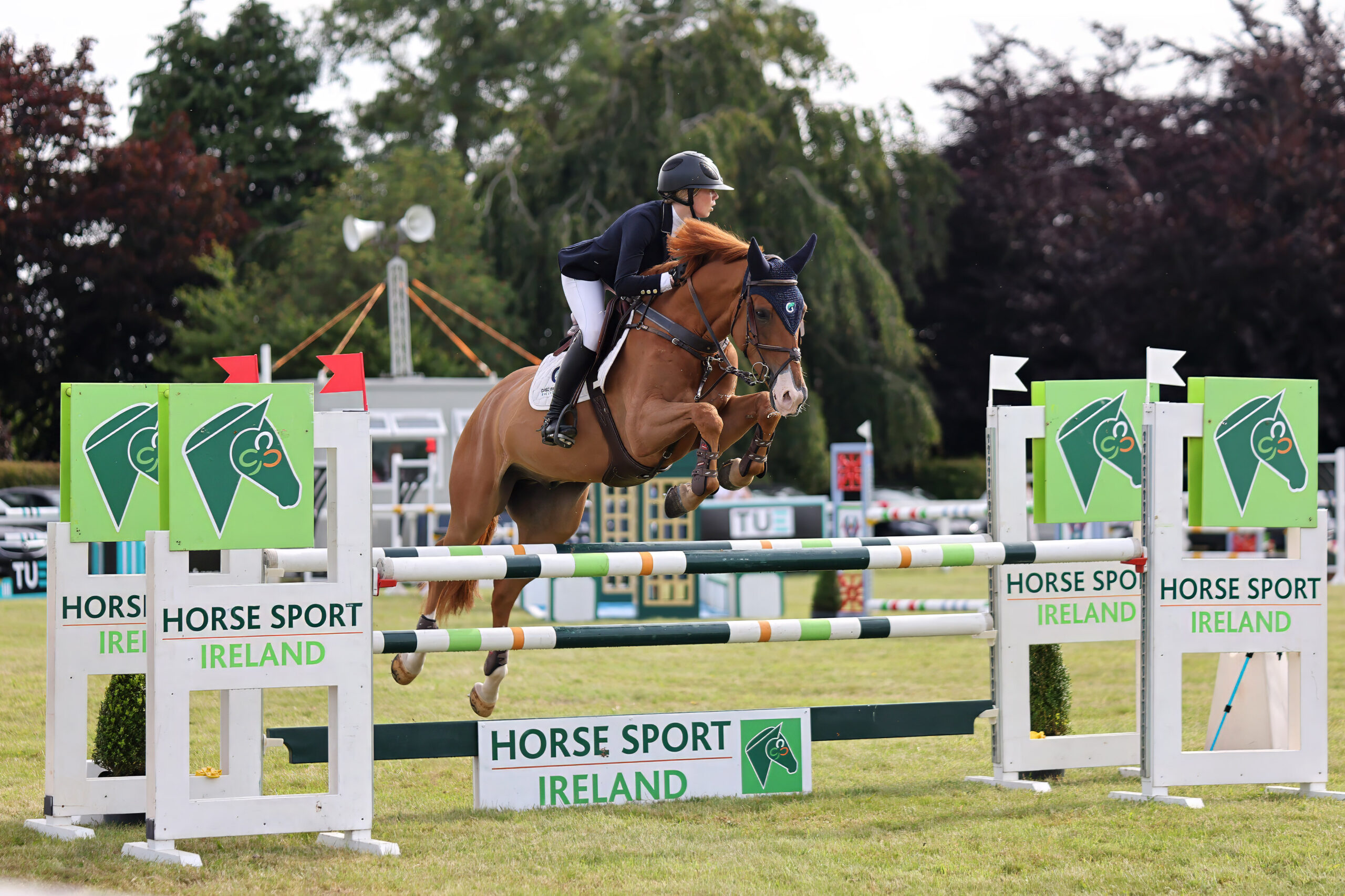 Venue Applications Open: DAFM Showjumping Studbook Series 2026