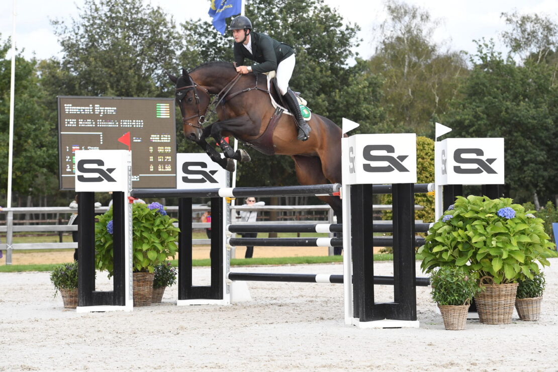 Stallions in Focus - Zapatero VDL