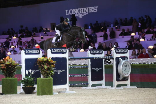 Stallions in Focus - Zapatero VDL