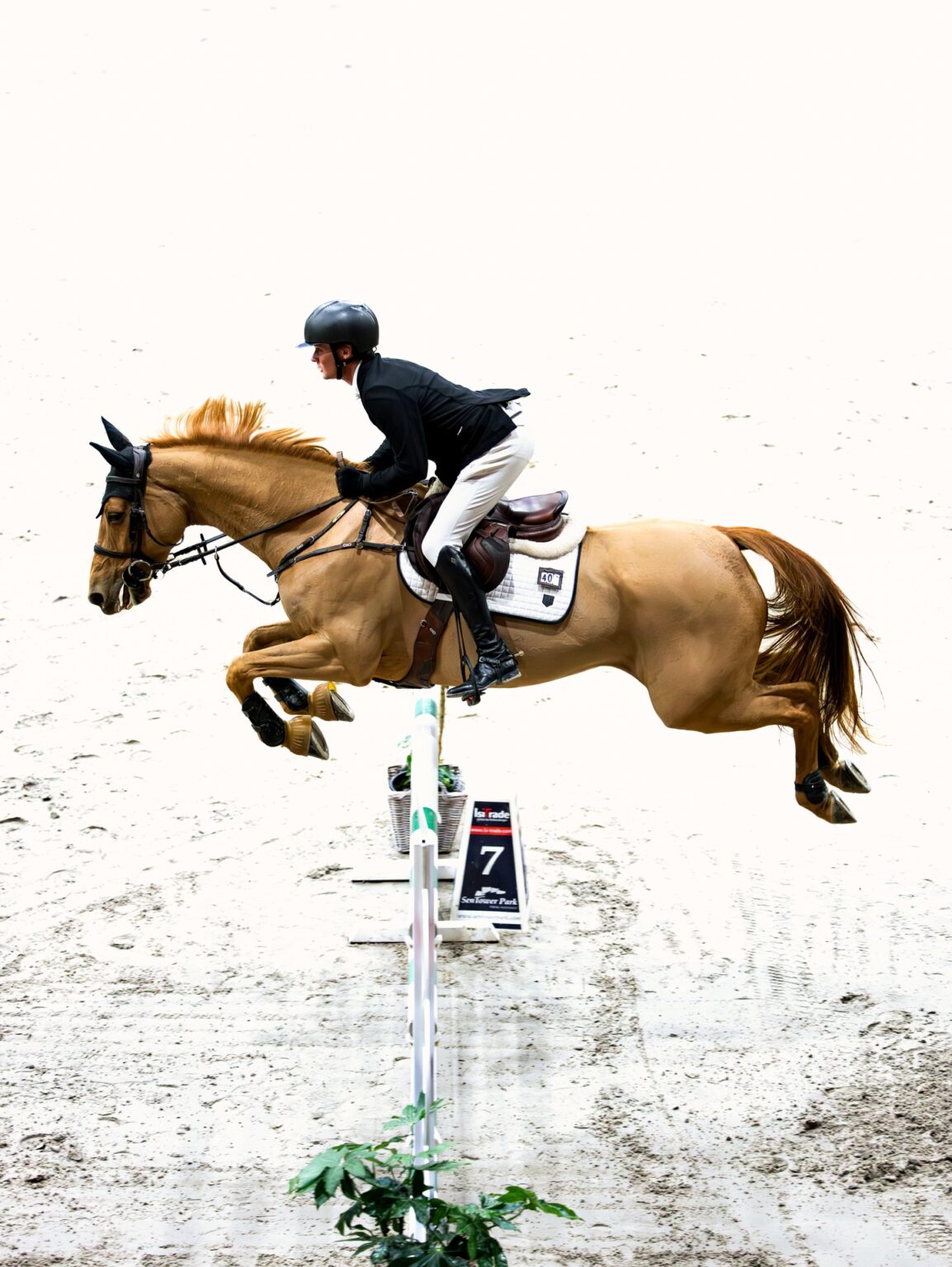 Green Jackets consistent on world stage