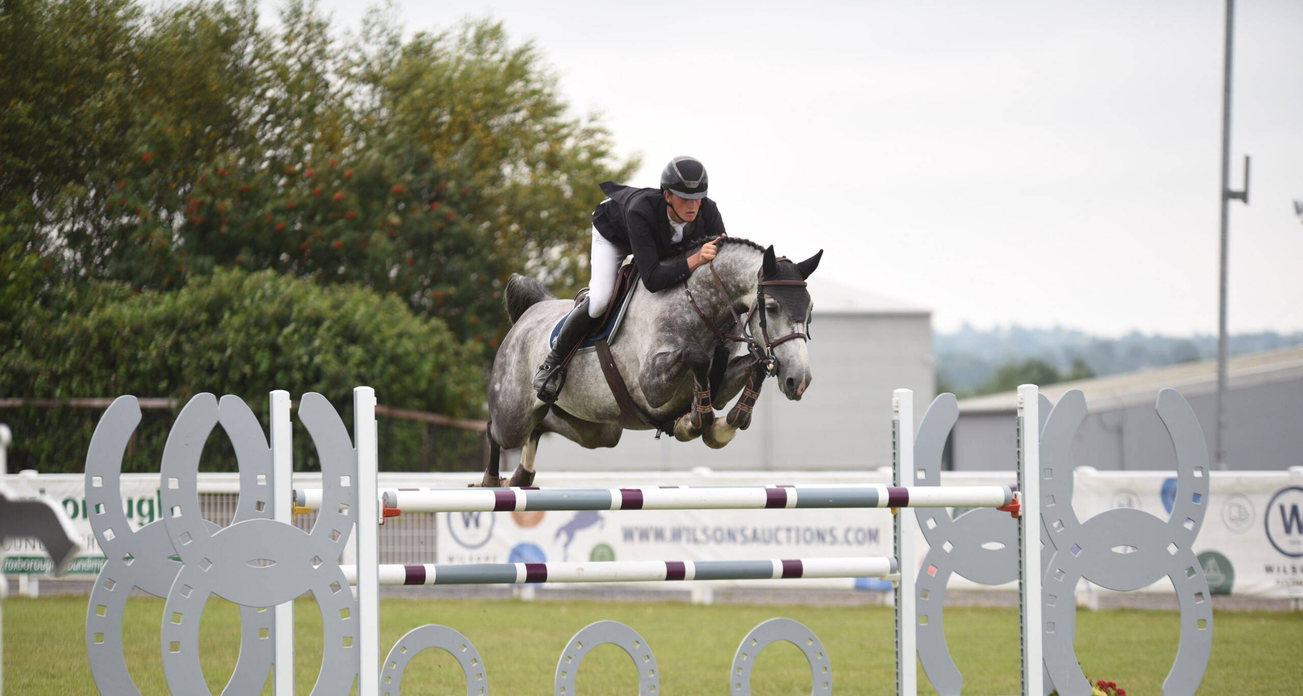 DAFM Showjumping Studbook Series 2026 Launched
