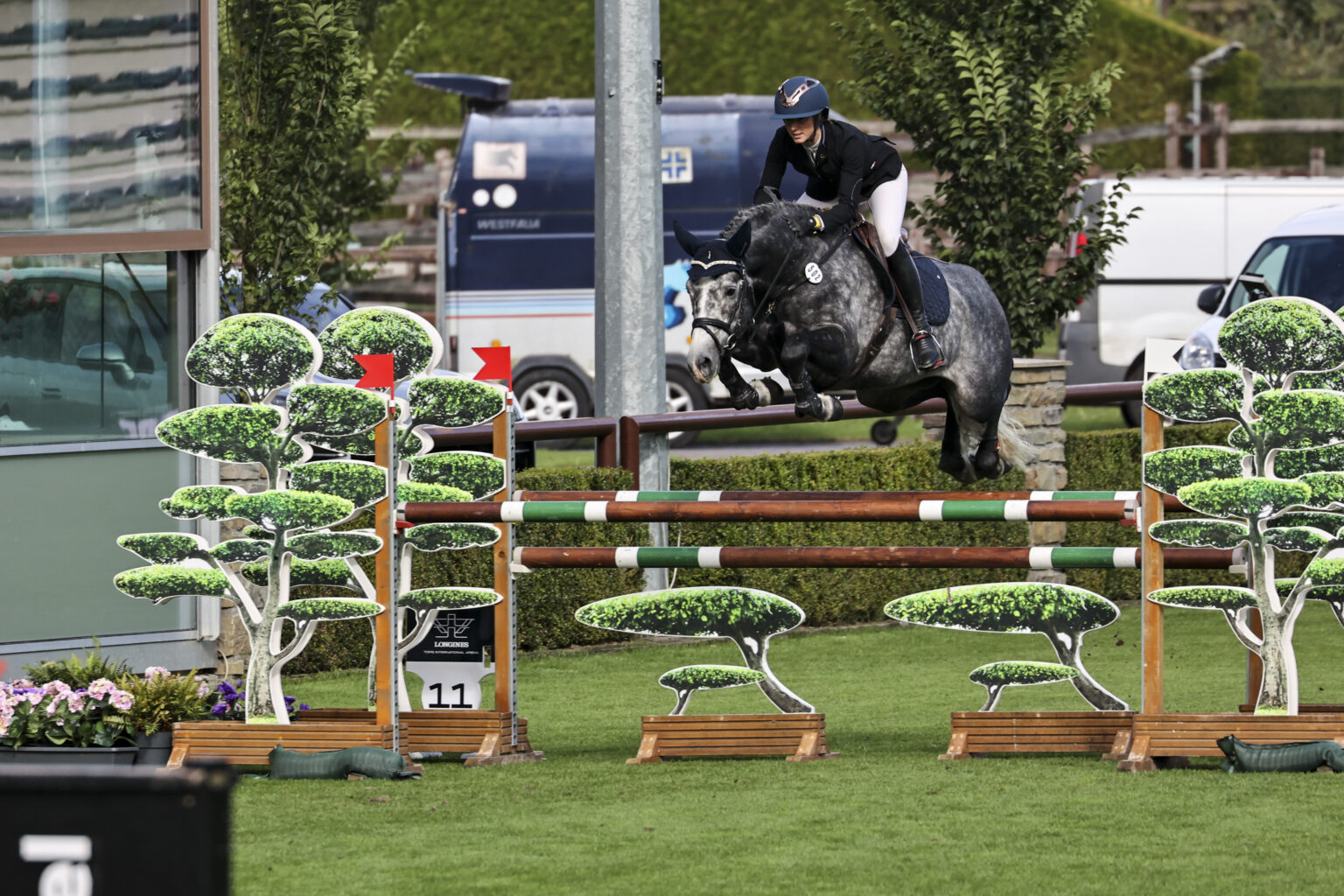 Stallions in Focus - Carrabeg The Full Irish