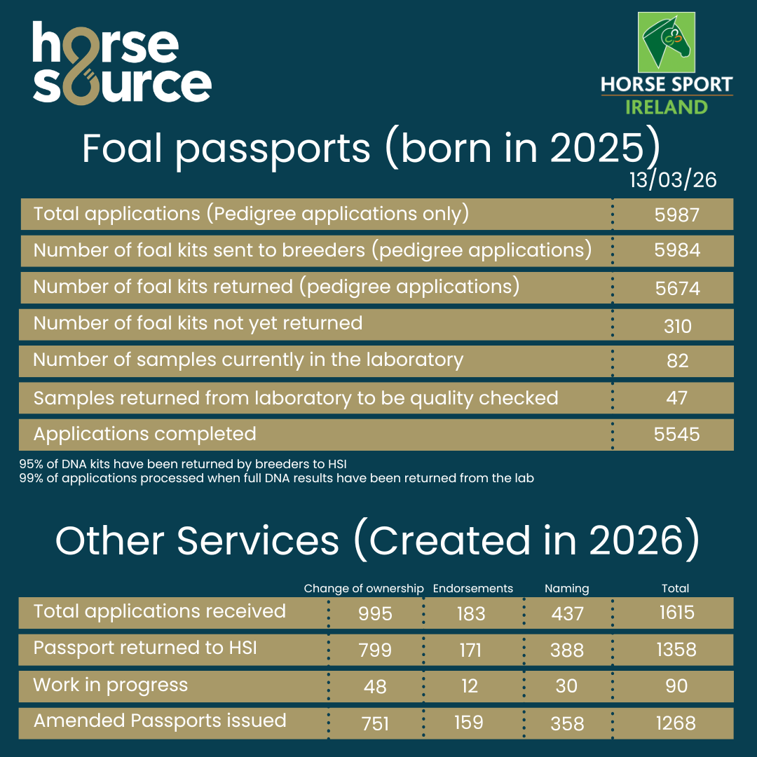 Updated figures of passport applications processed on Horse Source ...